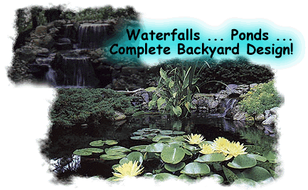 Novato, Marin County Ponds and Waterfalls, Felix Landscaping: Novato ...